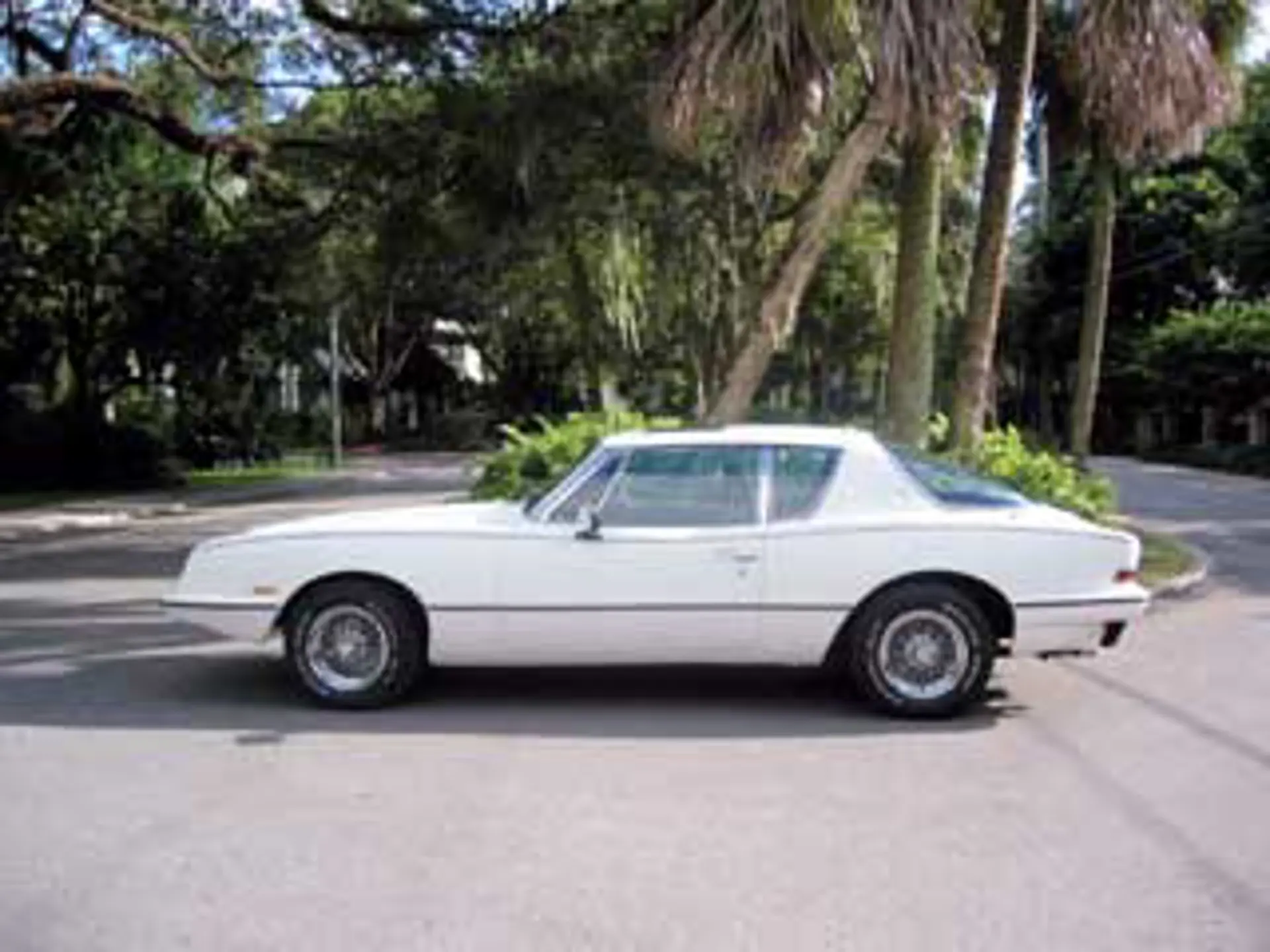 1984 Avanti Sport Coupe | The Florida Collector Car Auction 2004 | RM ...