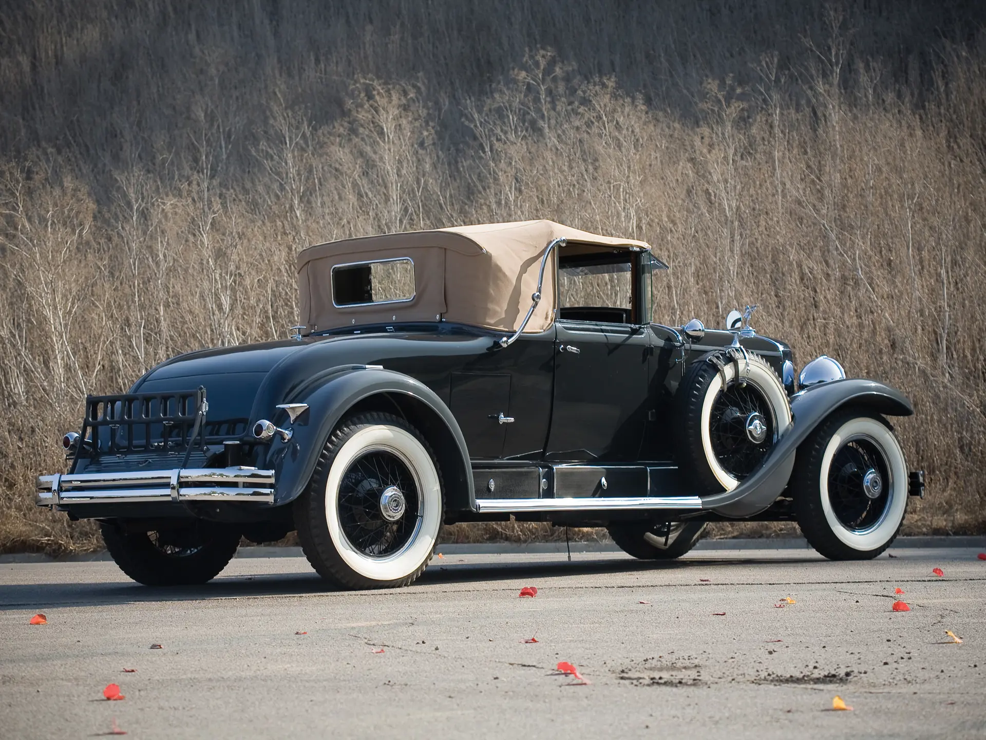 1928 Cadillac Model 341-A Convertible Coupe | Automobiles of Arizona ...