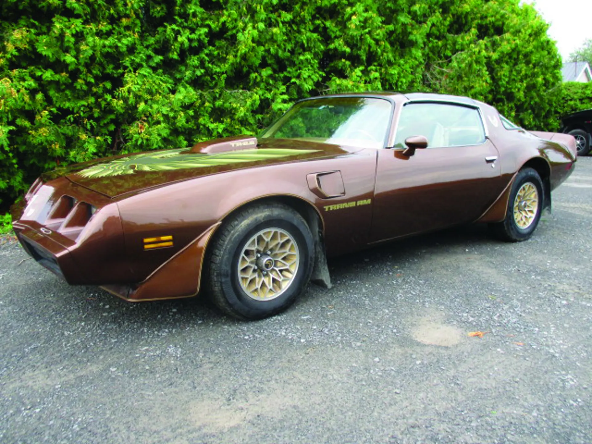 1979 Pontiac Firebird Trans Am | Auburn Fall 2017 | RM Sotheby's