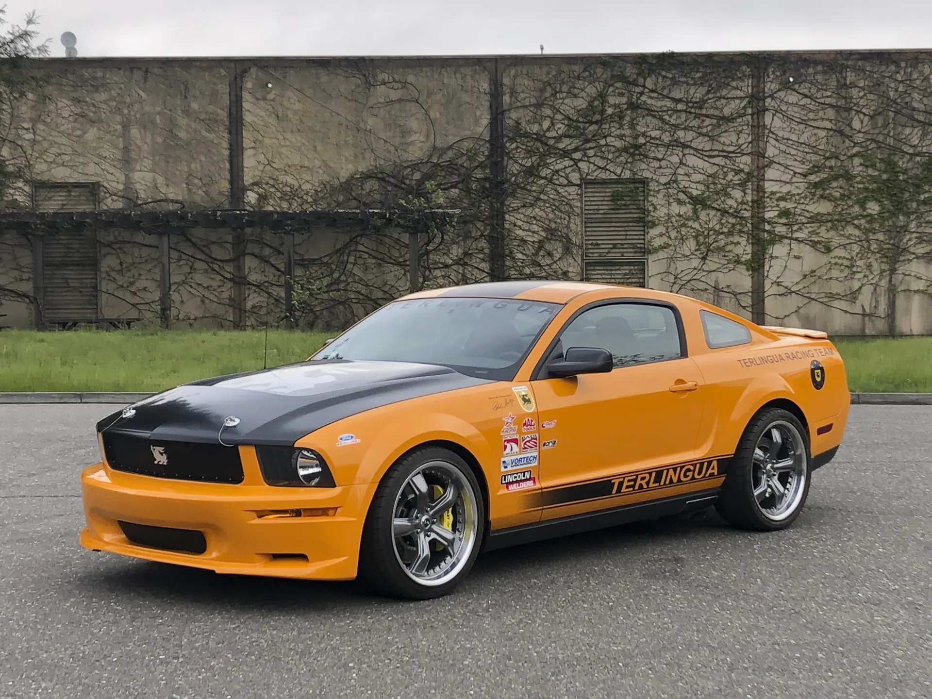 2007 Shelby Terlingua Mustang | Open Roads, North America | RM Sotheby's