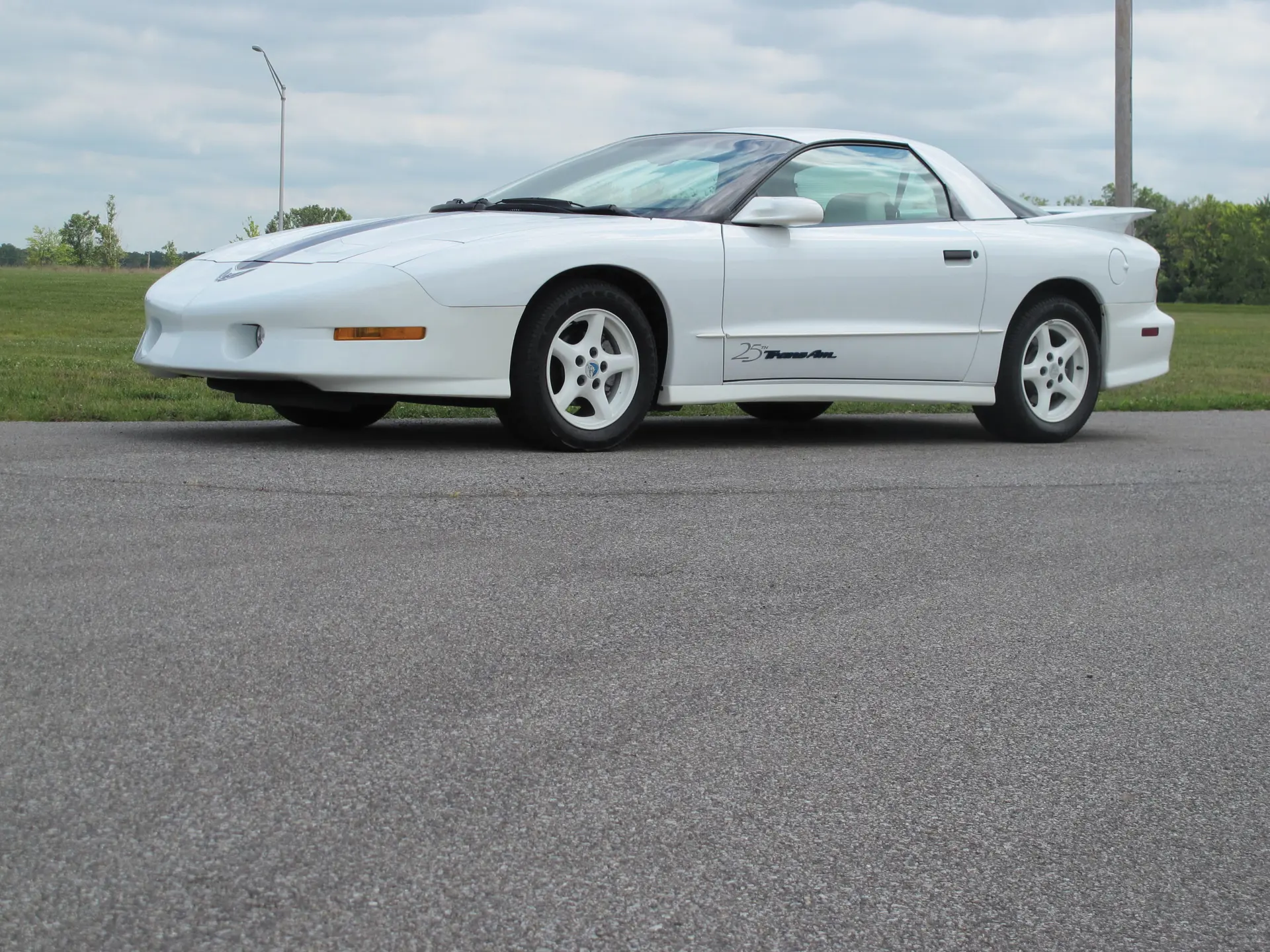 1994 Pontiac Firebird Trans Am 25th Anniversary Edition | Auburn Spring ...