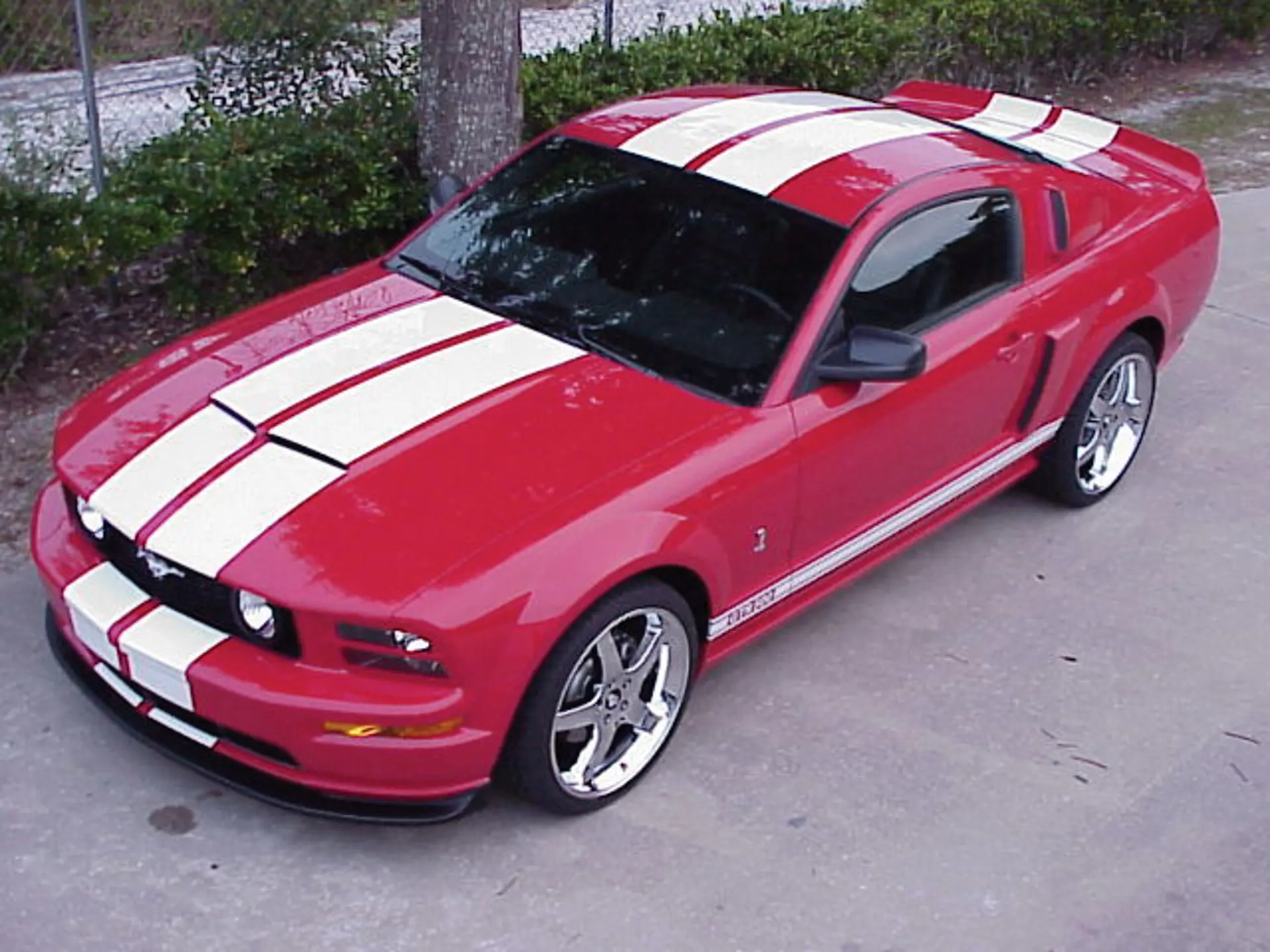 2006 Ford Mustang Custom Coupe | The Florida Collector Car Auction 2006 ...