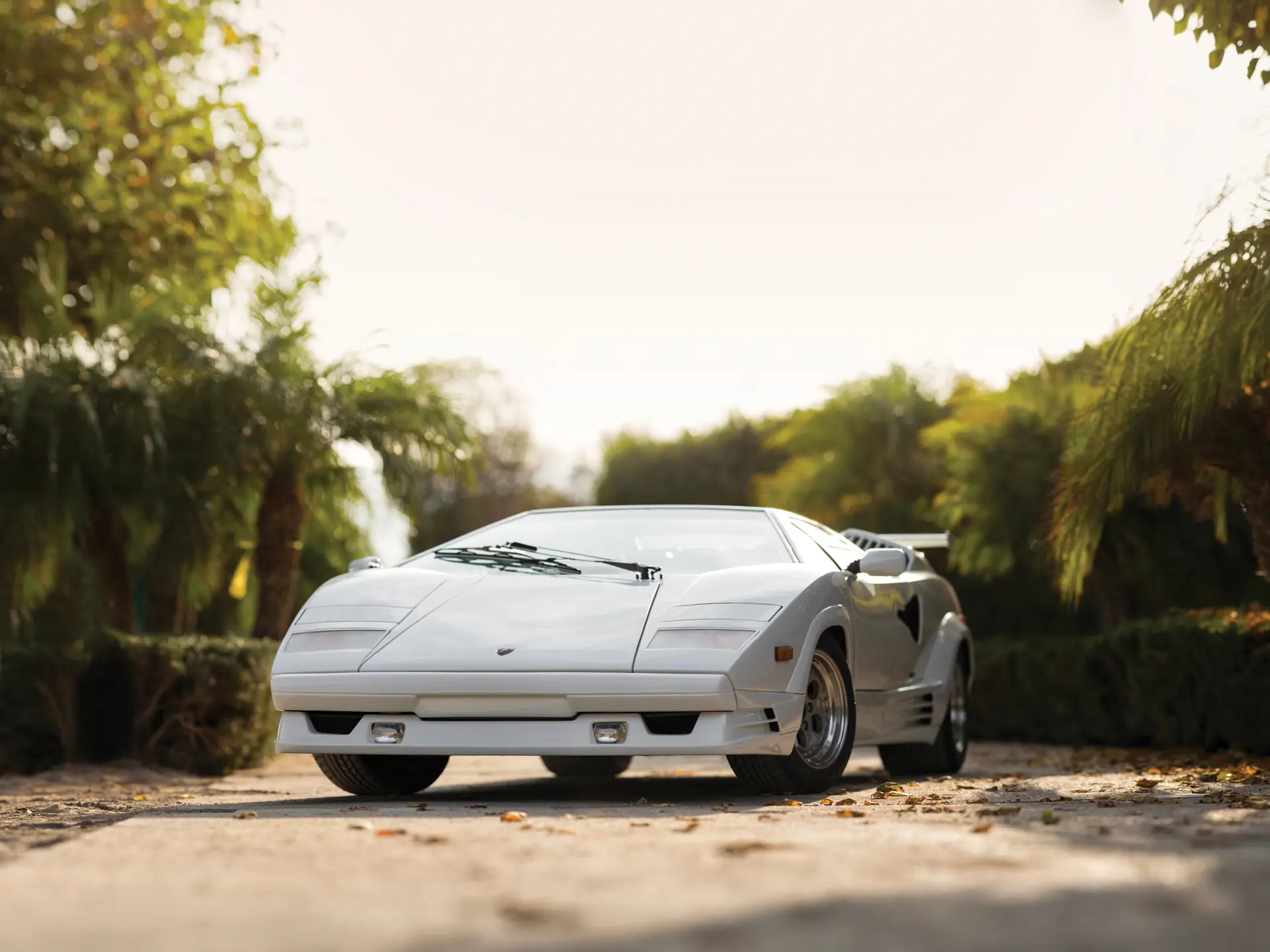 1989 Lamborghini Countach 25th Anniversary Edition by Bertone | New ...