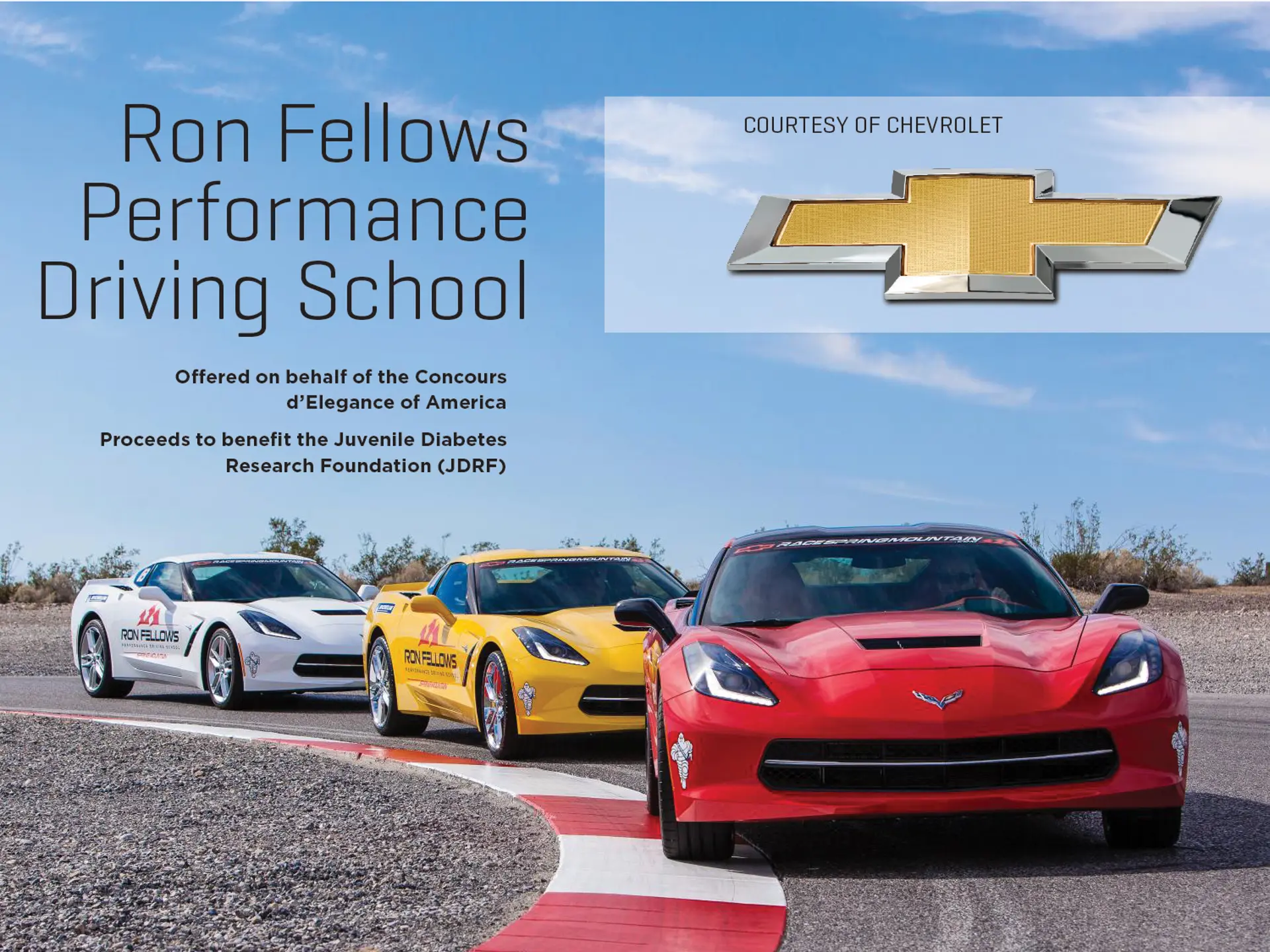 Ron Fellows Performance Driving School | Motor City 2016 | RM Sotheby's