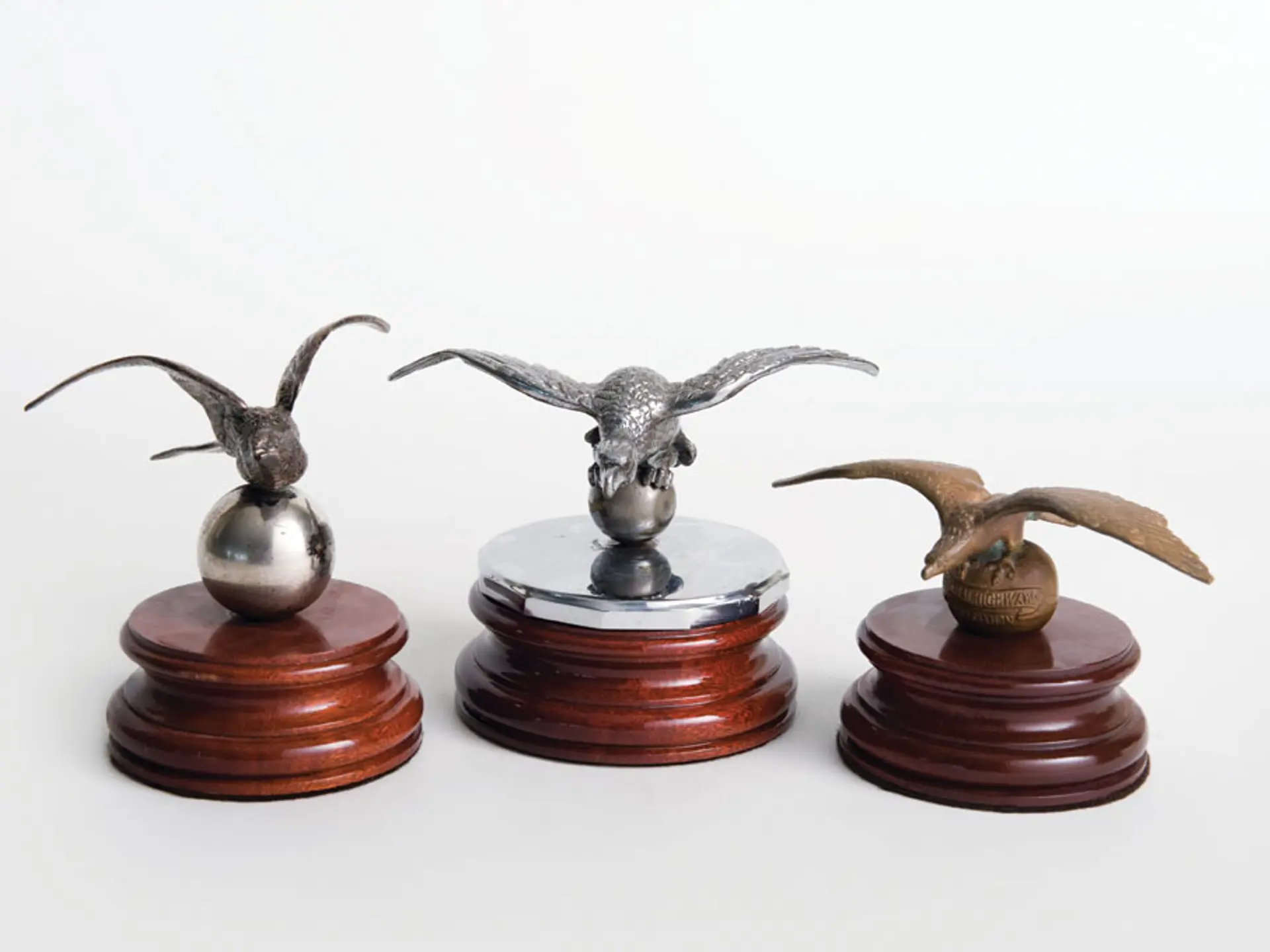 Three (3) Kestrel Realistic Eagle Mascots | Auburn Spring 2012 | RM ...