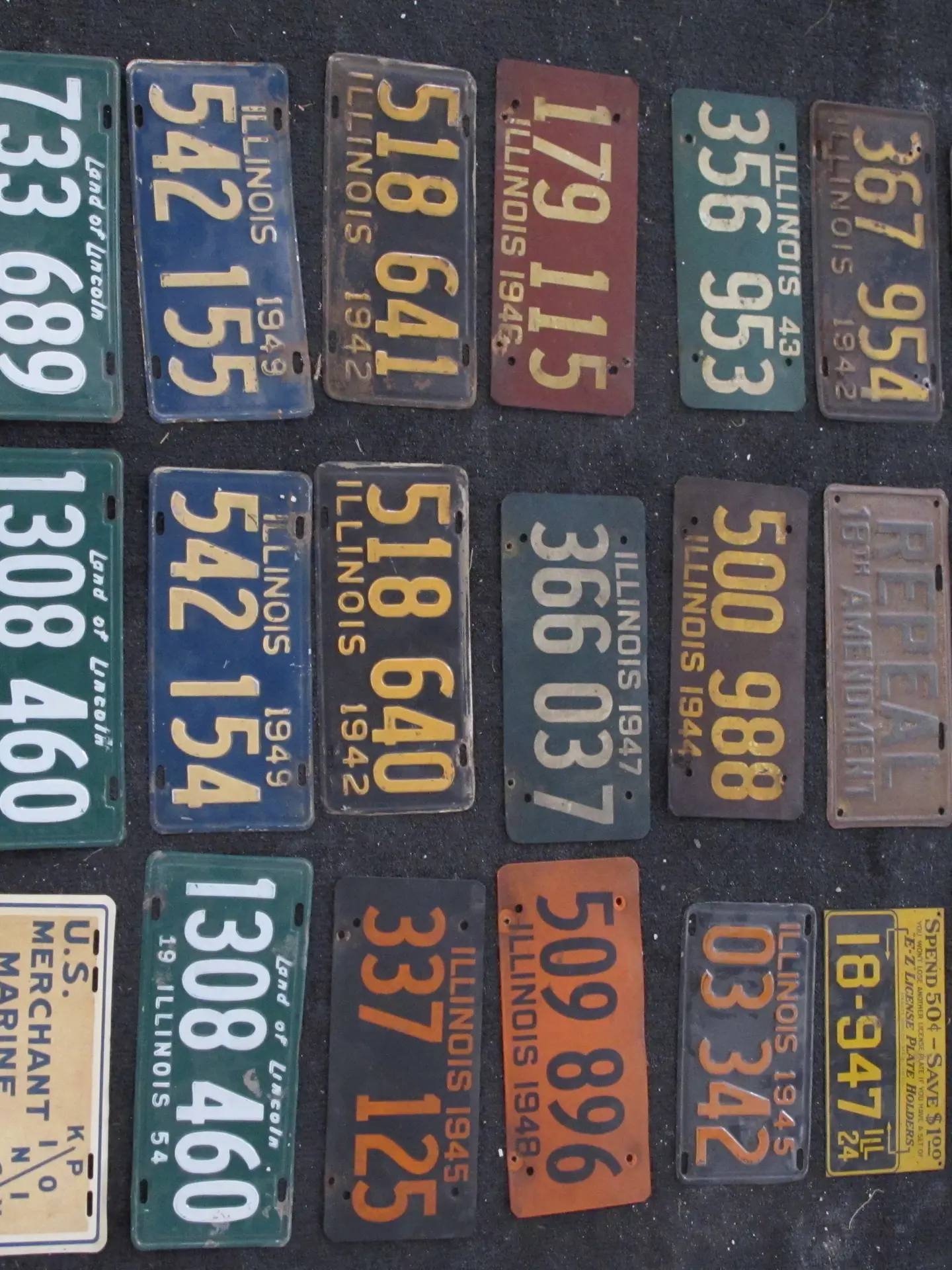 Lot includes an Assorted Collection of Unique and Interesting License ...