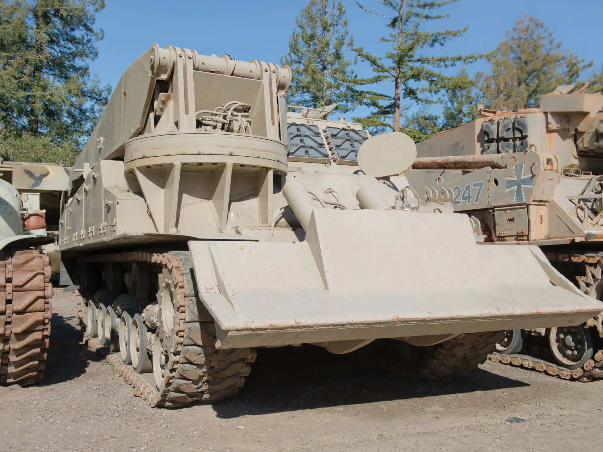 Israeli Trail Blazer (Gordon) ARV | The Littlefield Collection | RM ...
