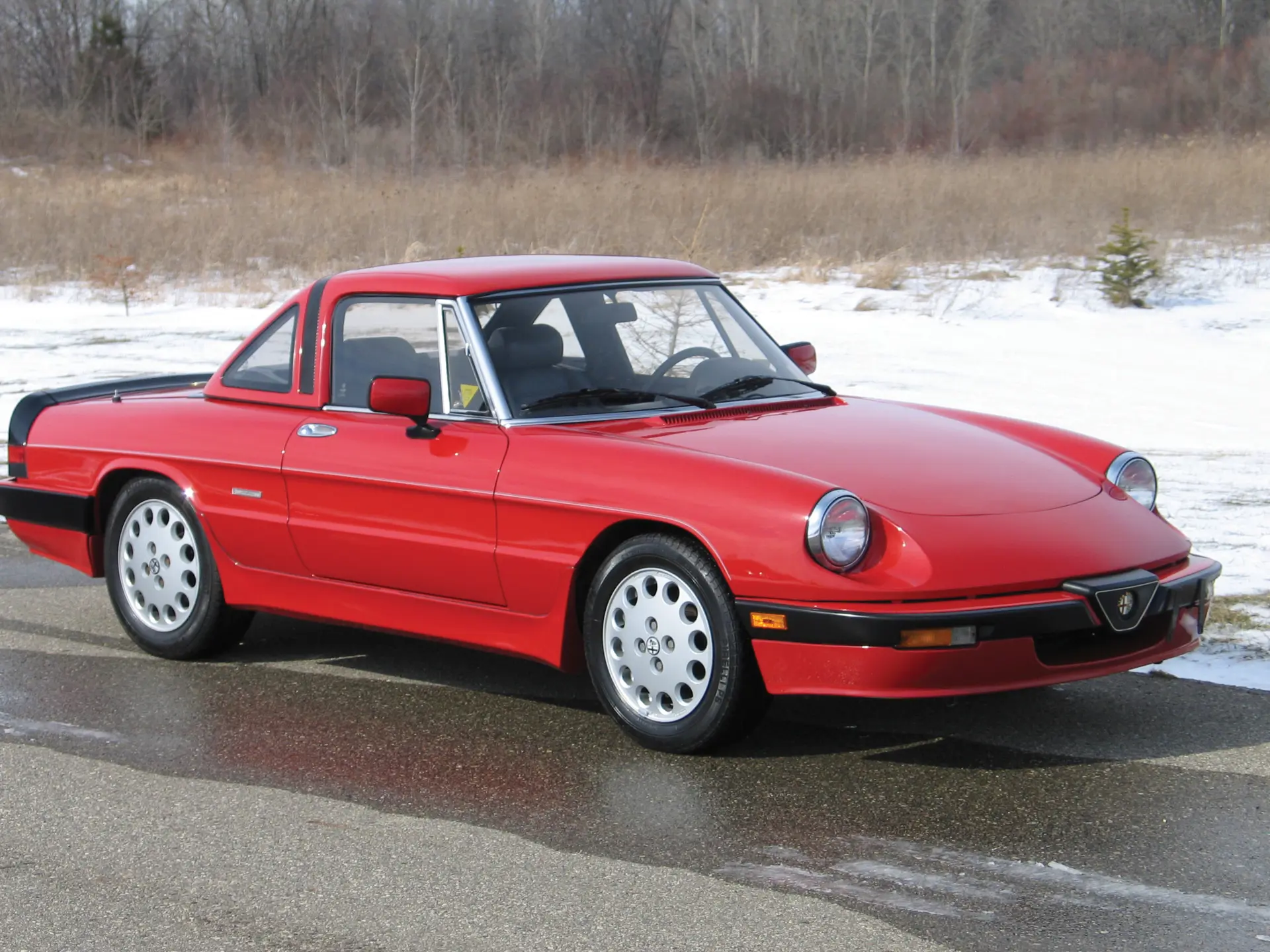 1988 Alfa Romeo Spyder | Classic Car Auction of Michigan 2009 | RM ...