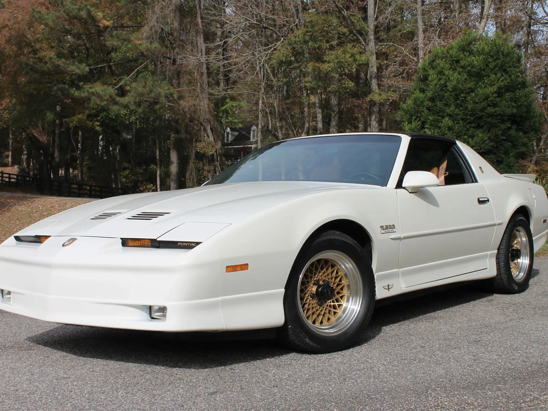 1989 Pontiac Firebird Trans Am Turbo GTA | Auburn Fall 2014 | RM Sotheby's