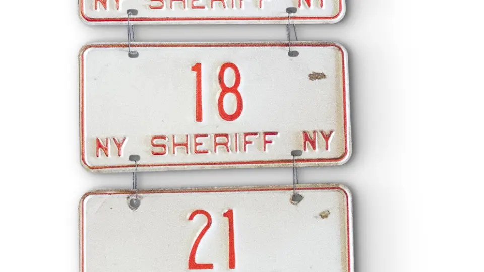 Collection of New York Sheriff License Plates | THE MITOSINKA ...