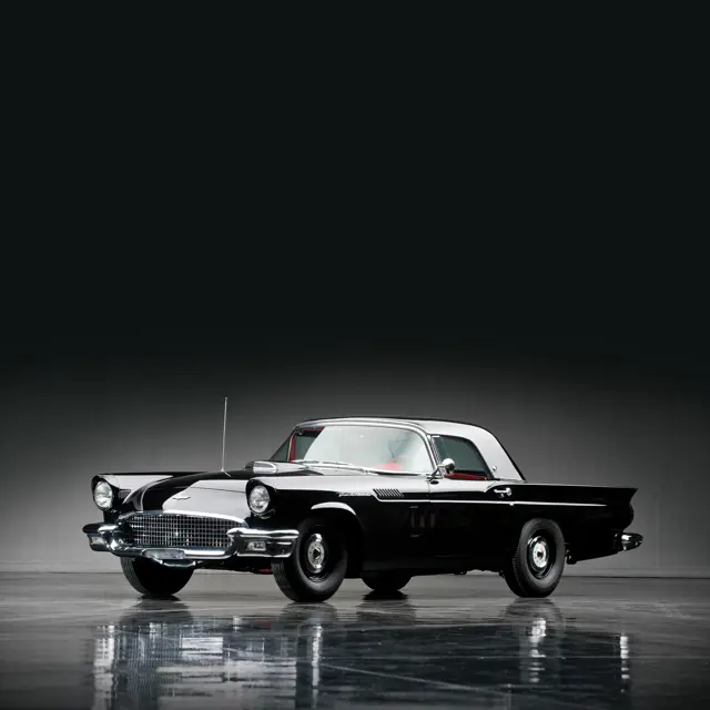 black white thunderbird