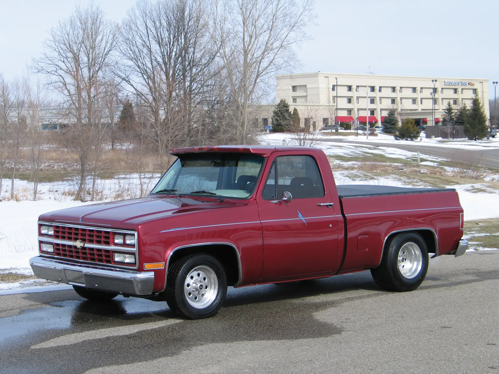 1981 Chevrolet C-10 Pickup | Classic Car Auction of Michigan 2009 | RM ...