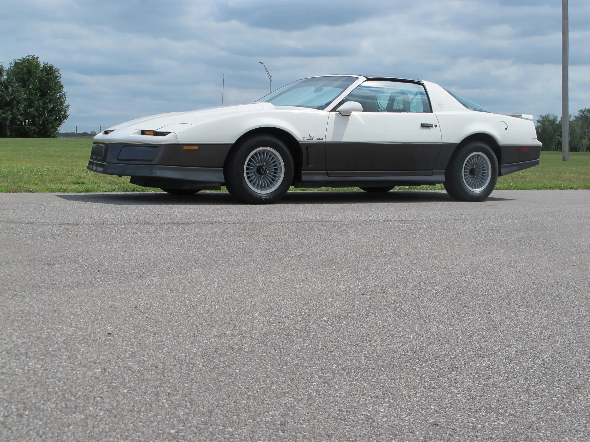 1983 pontiac firebird se