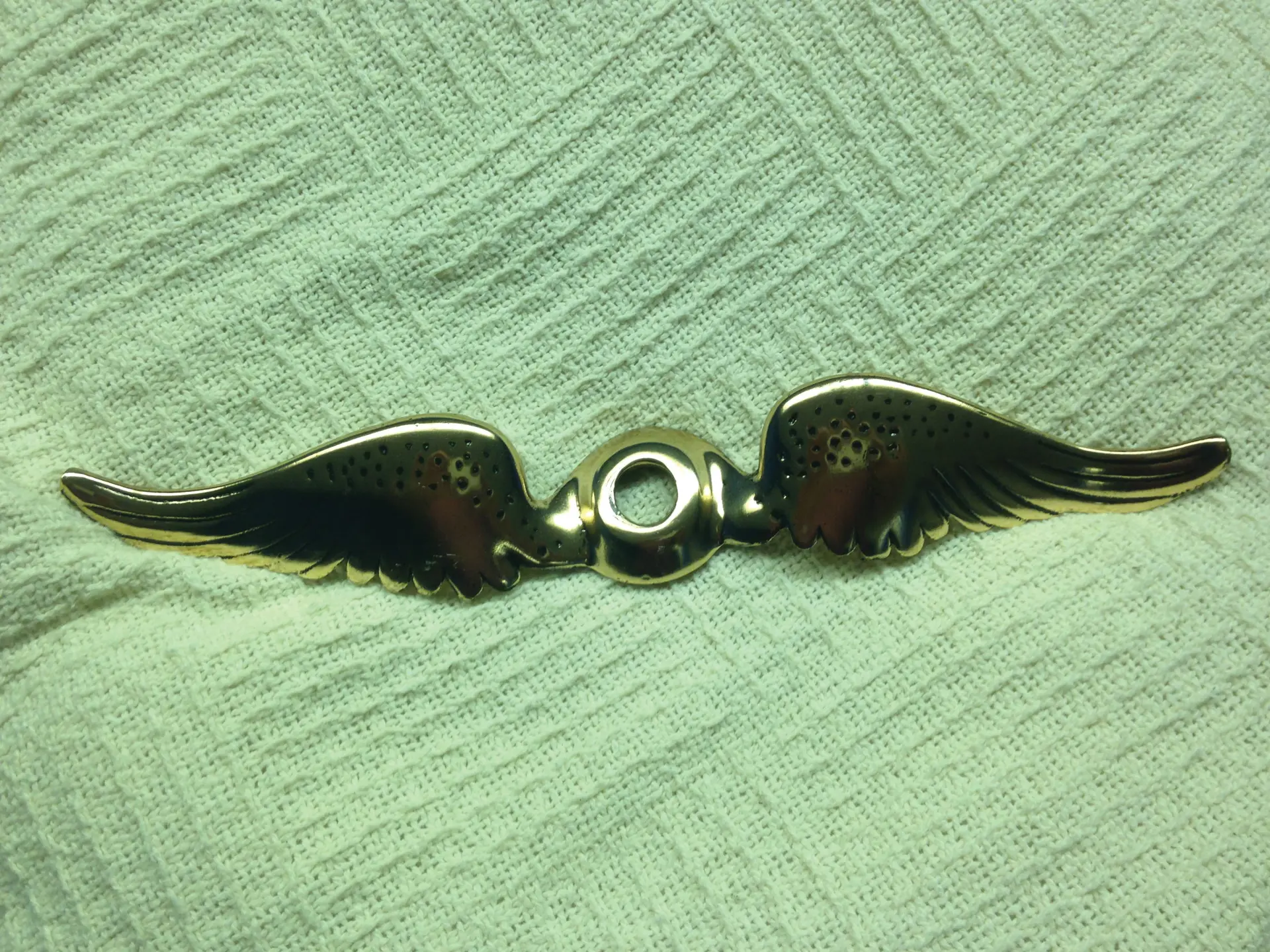 Polished Brass Motometer Wings: Early 1900's | Auburn Fall 2014 | RM ...