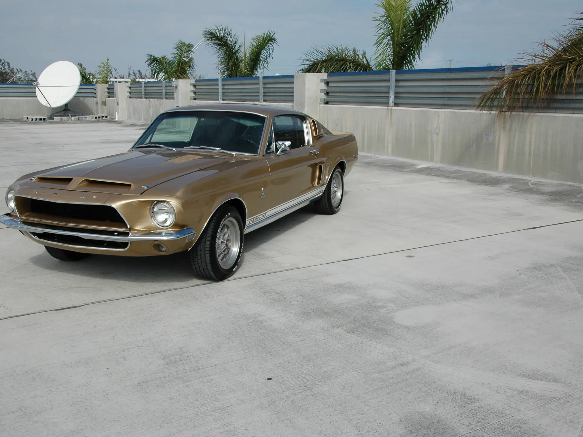 1968 Shelby GT350 Fastback | The Florida Collector Car Auction 2006 ...