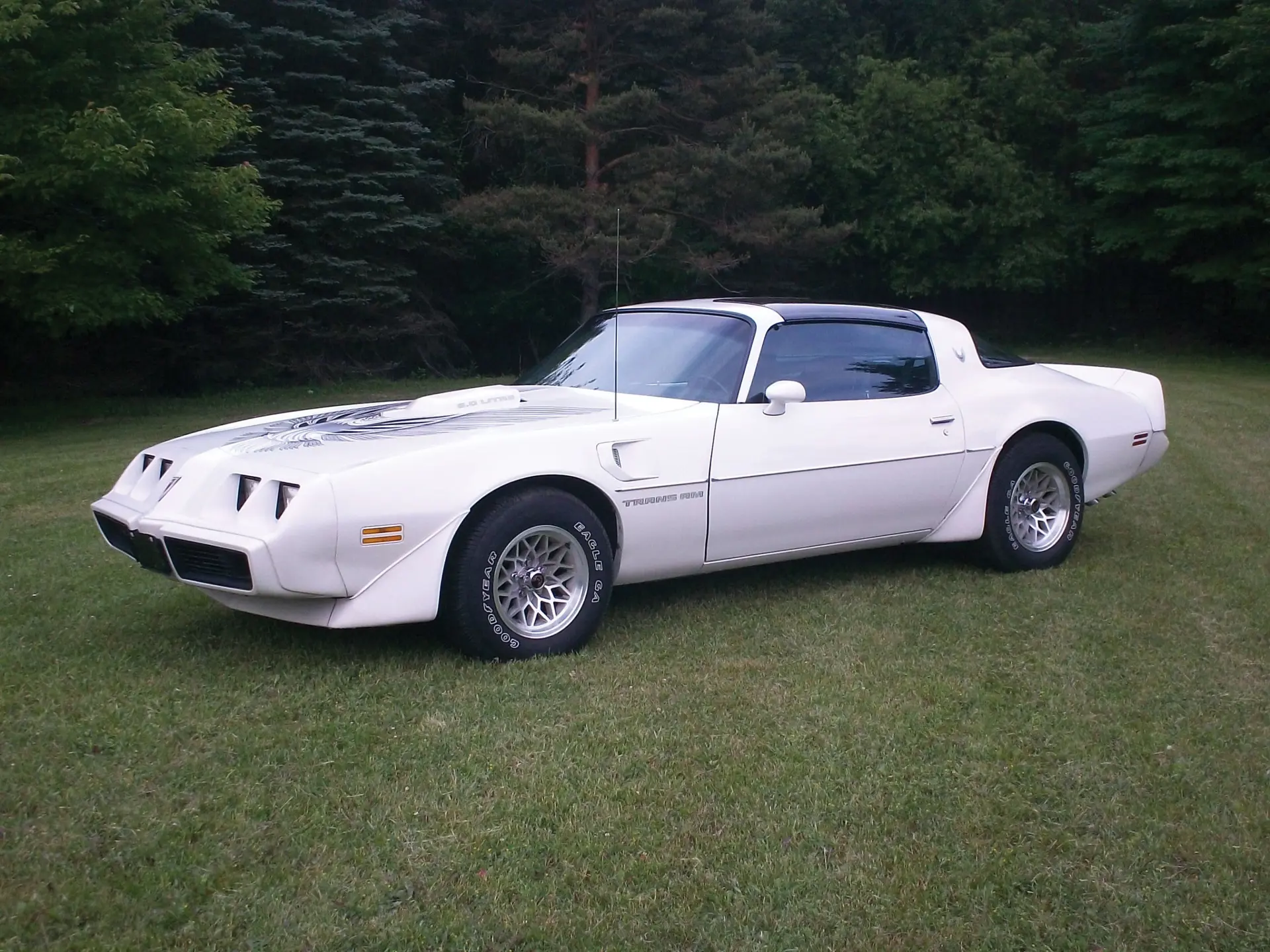 1981 Pontiac Firebird Trans Am | Auburn Fall 2015 | RM Sotheby's