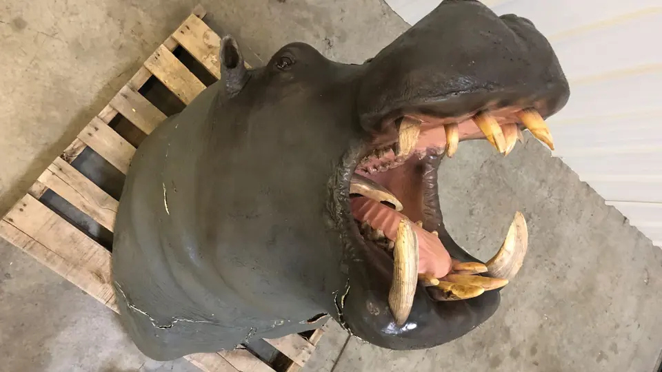 Taxidermized Hippo Mount | Auburn Fall 2019 | RM Sotheby's