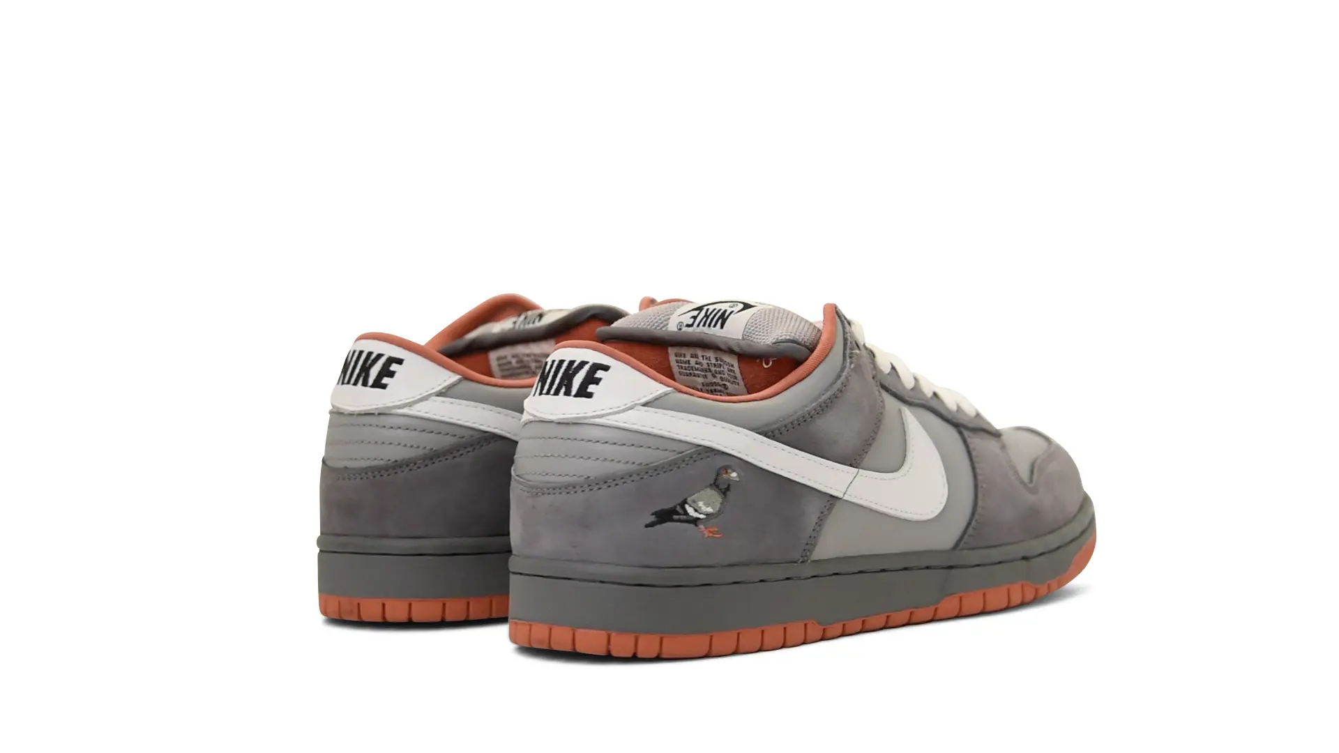 grey pigeon dunks