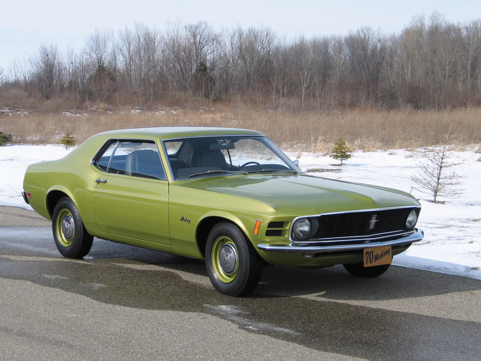 1970 Ford Mustang Coupe | Classic Car Auction of Michigan 2009 | RM ...
