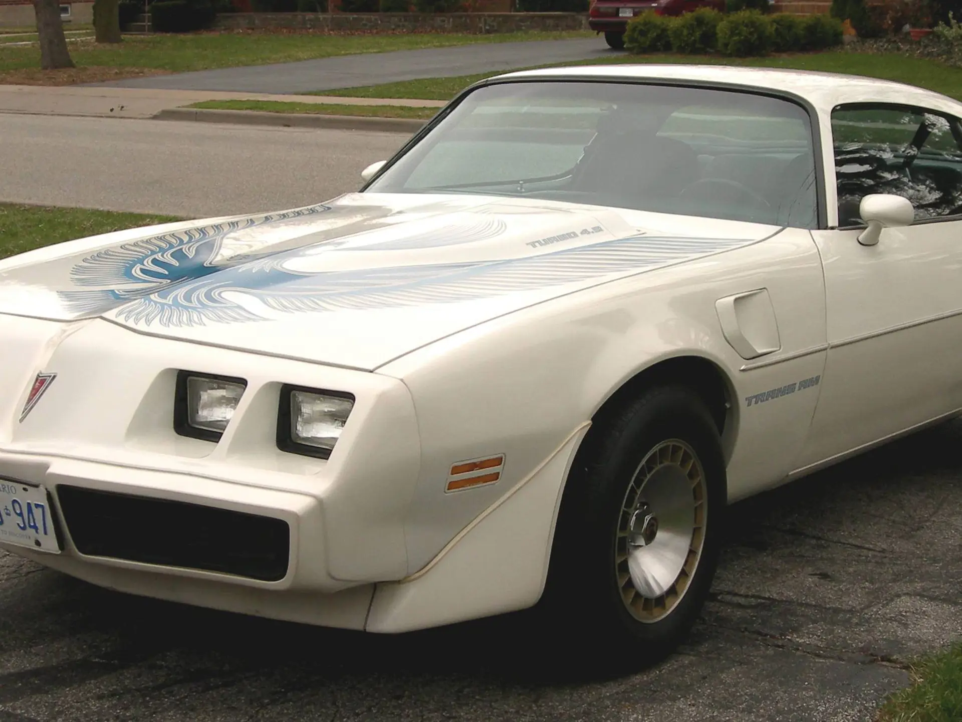 1981 Pontiac Firebird Turbo Coupe | Michigan International Spring ...